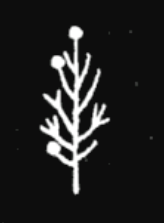 Her Trees: First Puzzle — Play Free Online Browser Puzzle Game